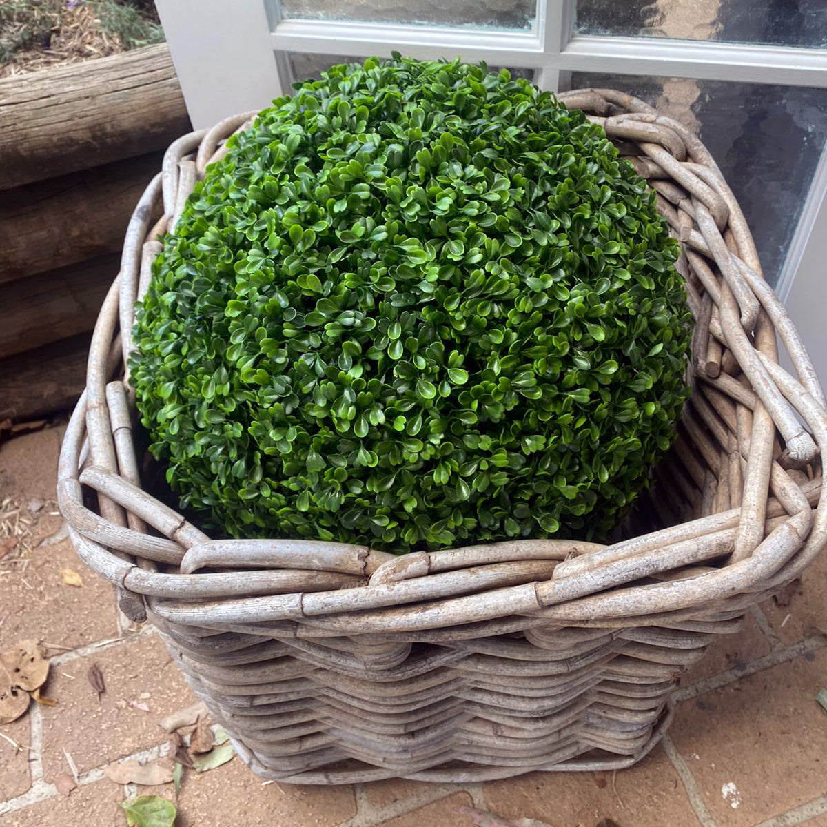 Buxus sphere and basket – The Vintage Farmhouse